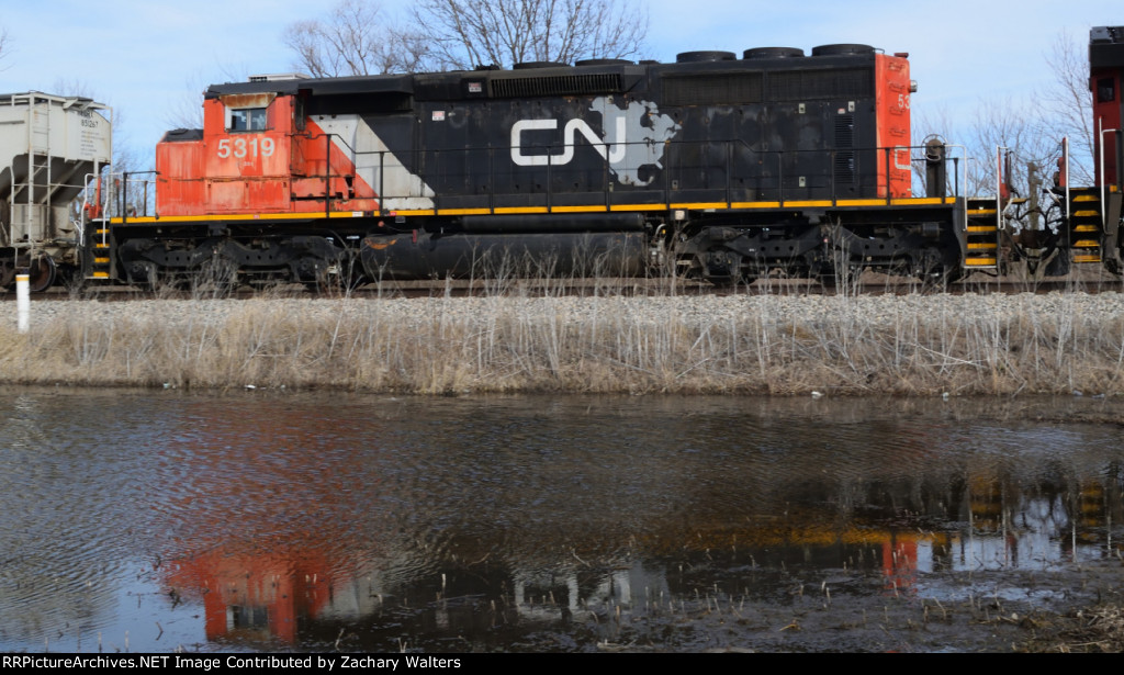 CN 5319